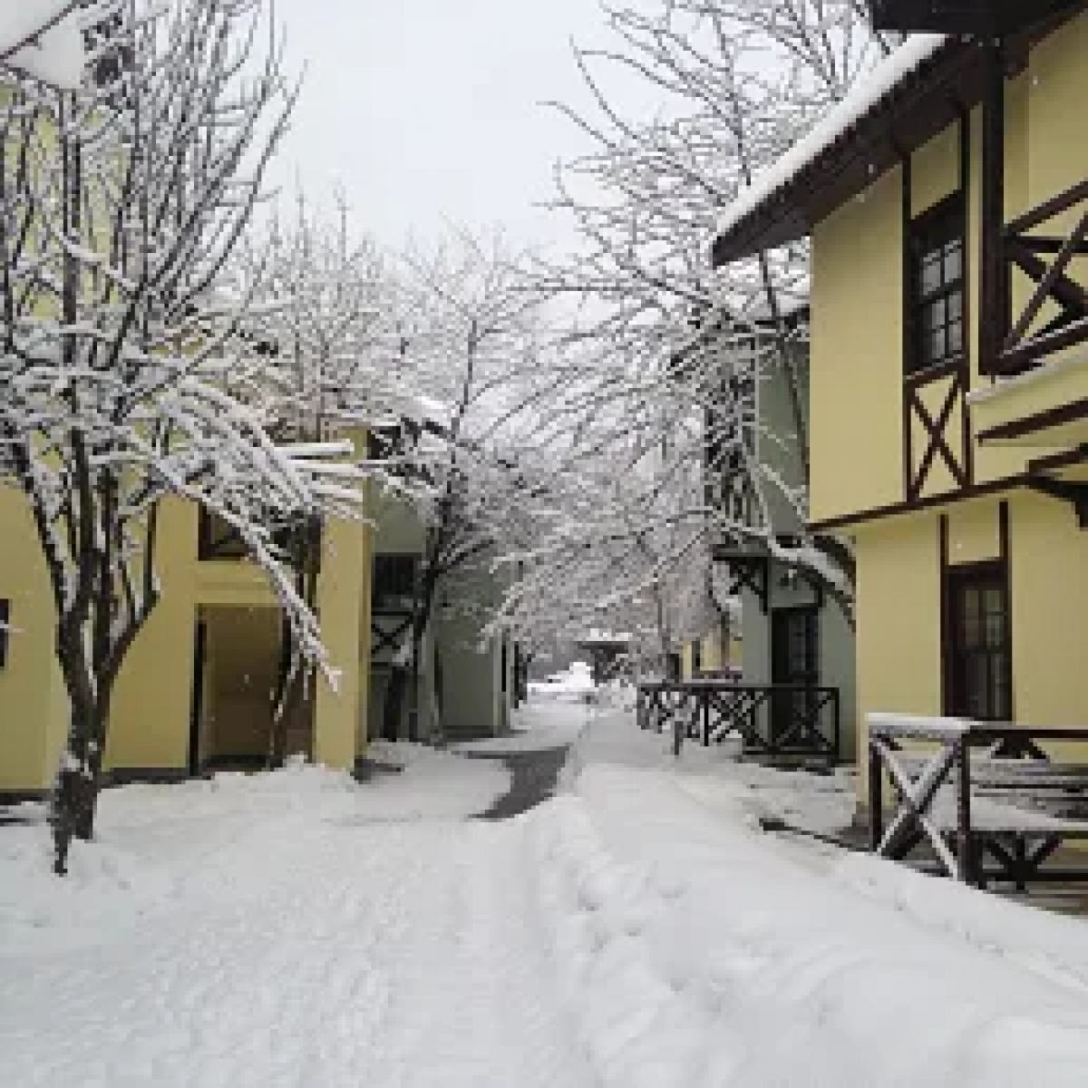 Vonresort Abant | Nomatto