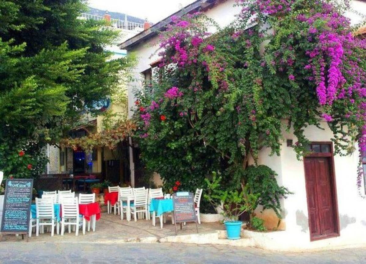 Leon Cafe | Nomatto